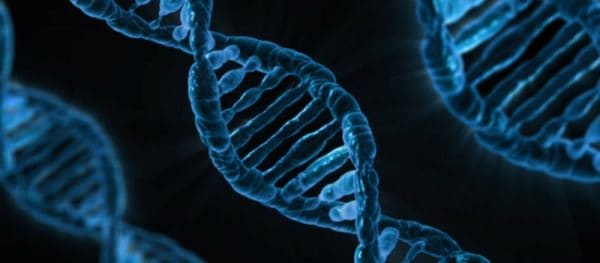 ¿Qué son las terapias ARN? | Nubimed